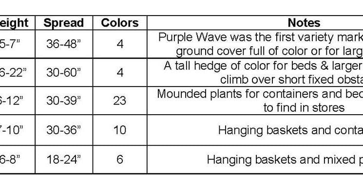 Wave petunias – starting from seed | Outdoors | themountaineer.com