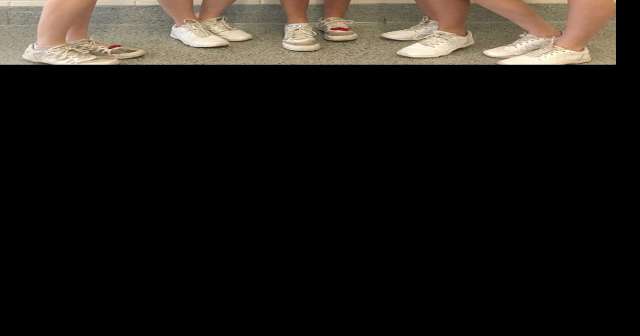 Pisgah cheer shows well at NCCCA stunt competition | Sports ...