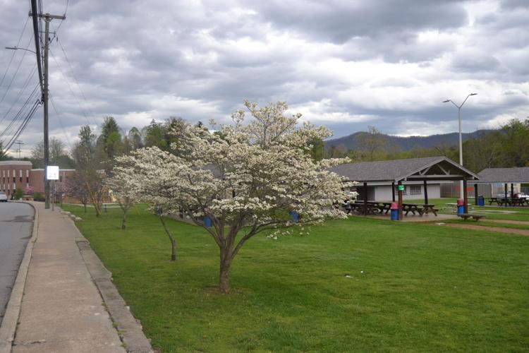 Canton Recreation Park scenes | | themountaineer.com