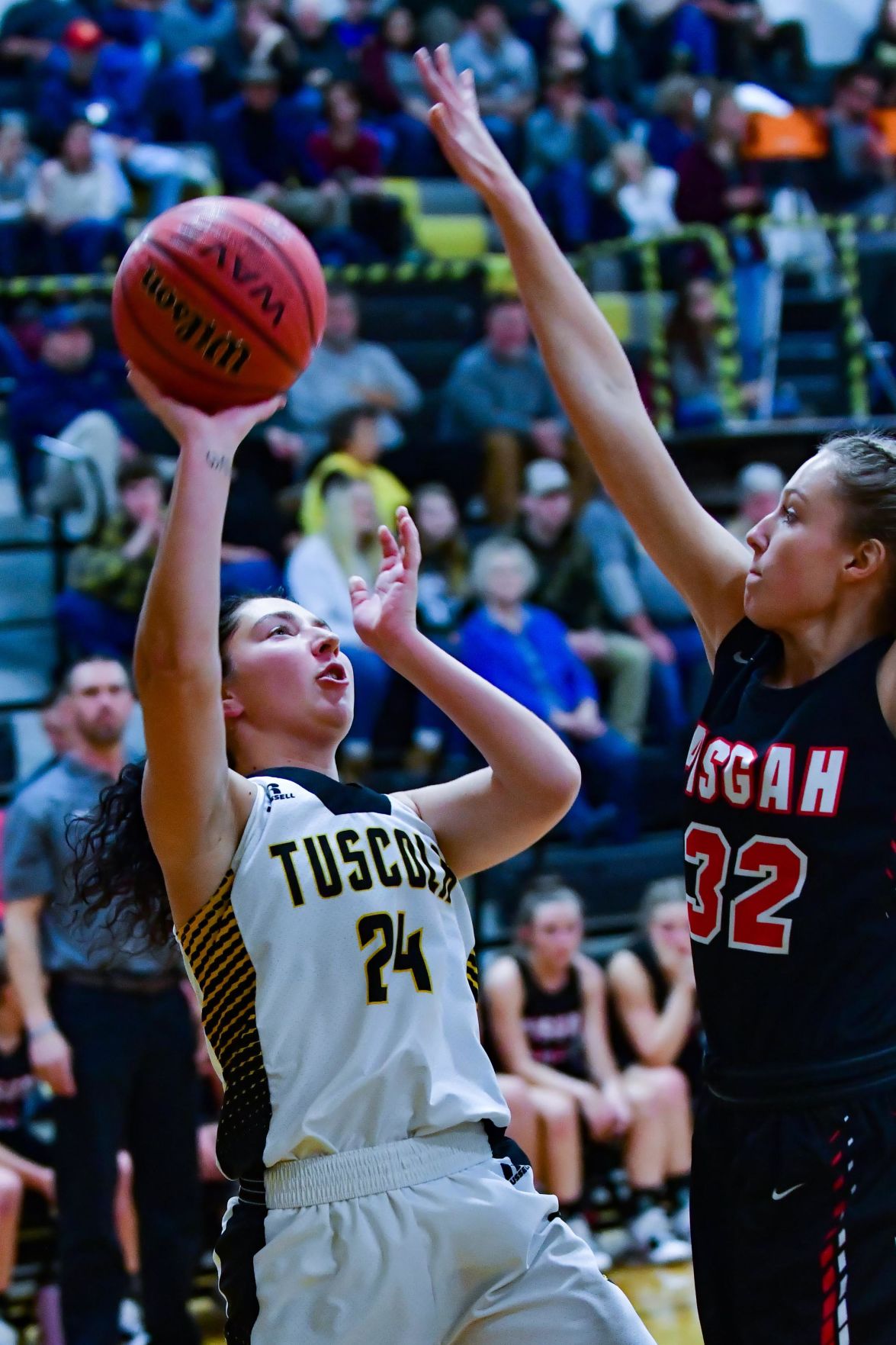 Tuscola girls continue growth in new season | Sports | themountaineer.com