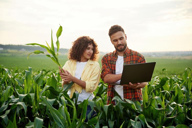 Why Digital Security Is Becoming a Rural Issue | Briefs ...