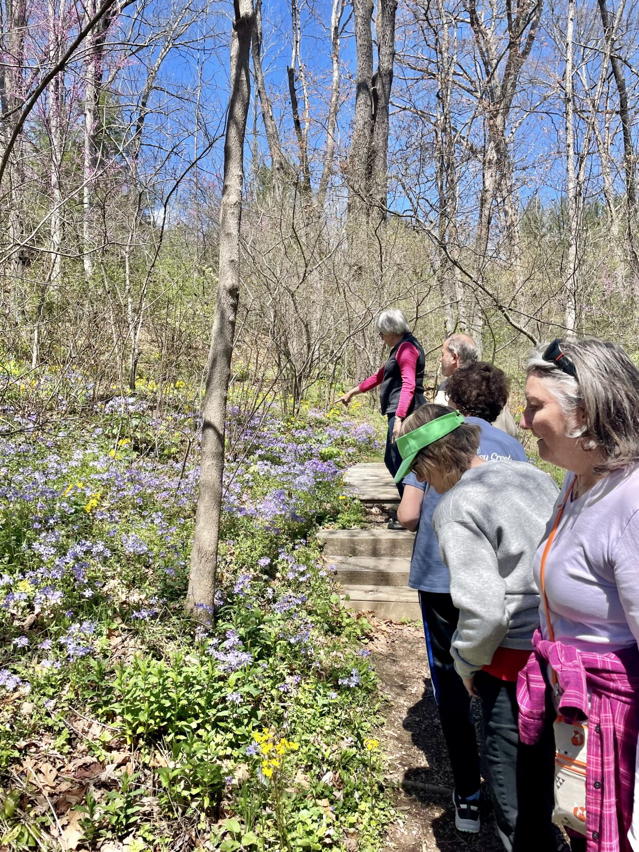Take a walk on the wildflower side at Lake Junaluska native plant ...