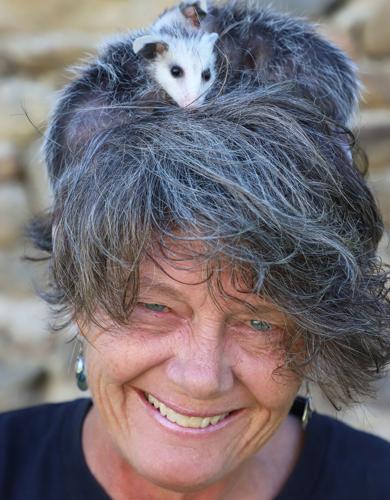 Fines Creek woman cares for the forest’s youngest creatures | News ...
