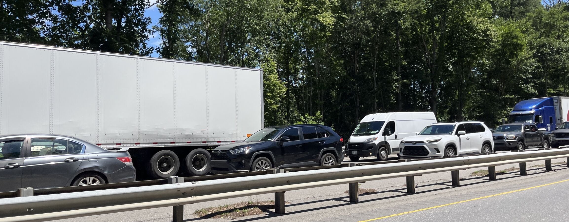 Fallen tree branch halts bypass traffic Friday morning | News ...