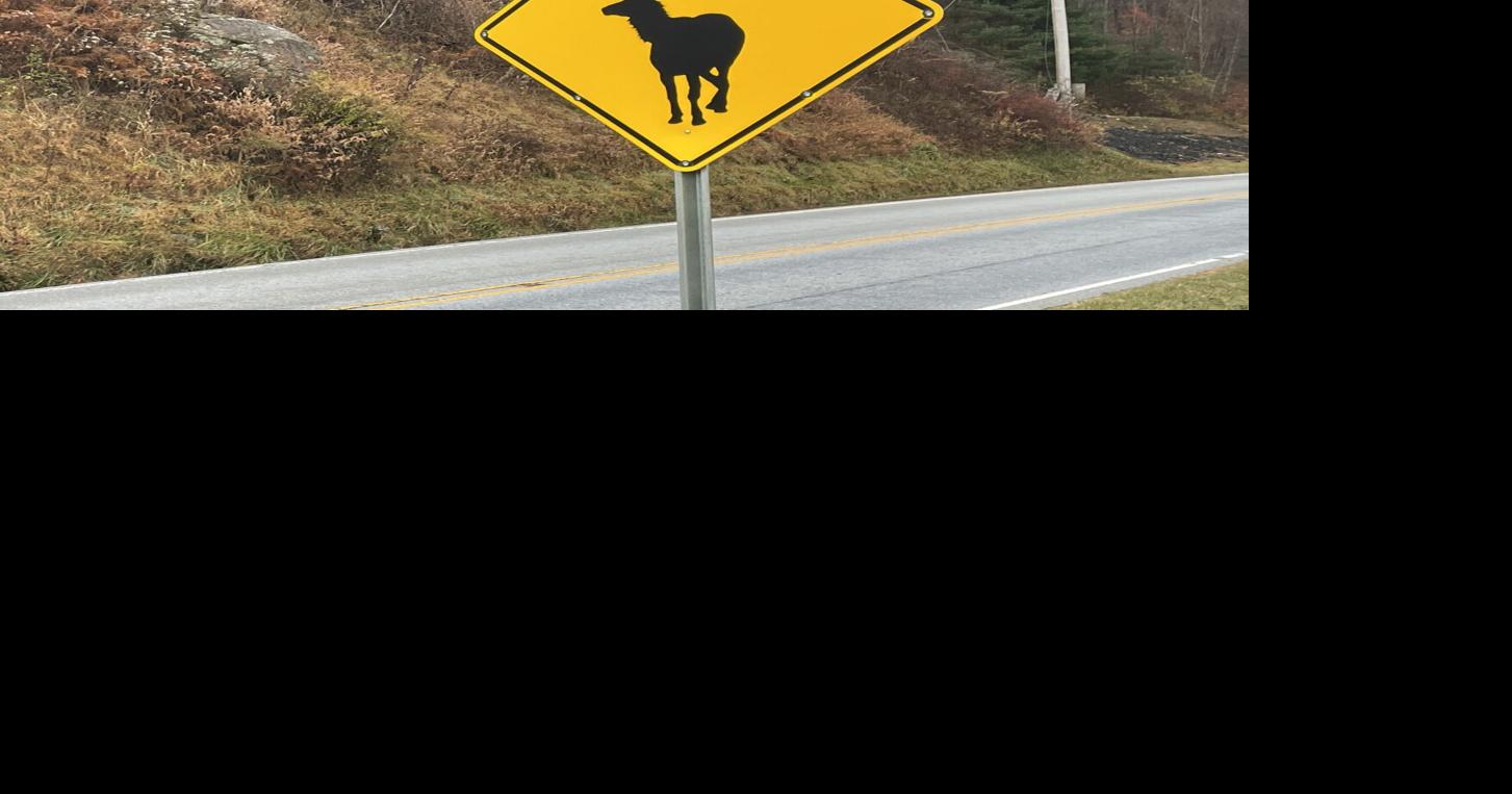 New elk crossing signs installed following theft | News ...