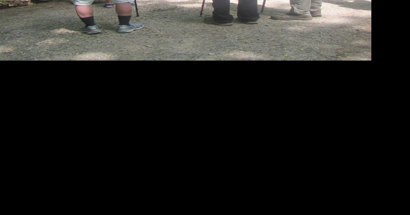 Learn tree identification on guided hike at Sunburst | Outdoors | themountaineer.com