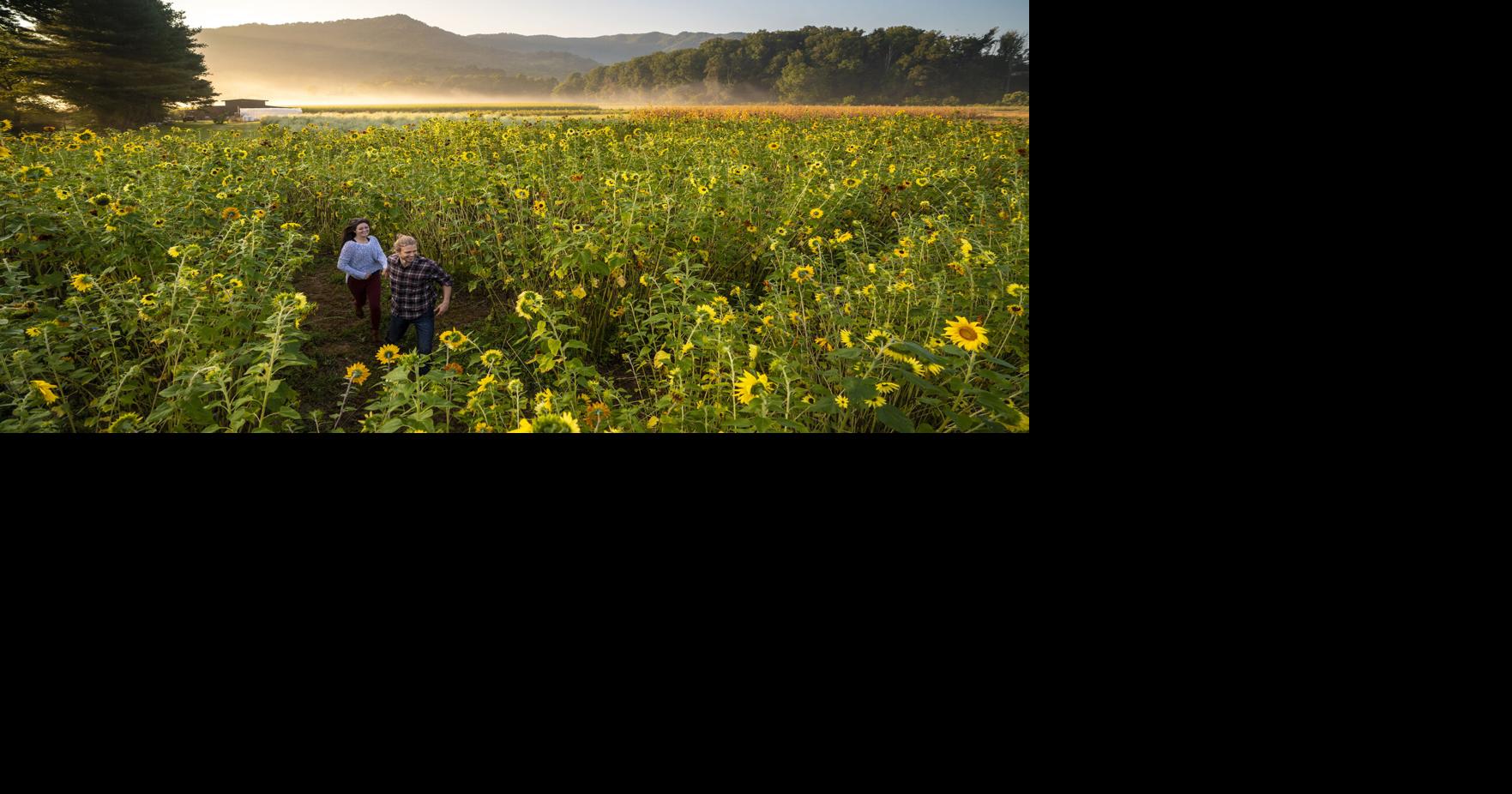 Bethel farm to be featured on tourist magazine cover | News ...