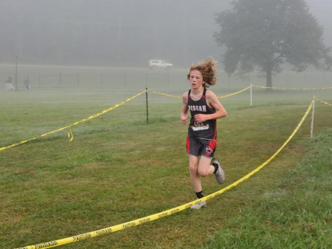 Watermelon Run fruitful for Tuscola cross country, Pisgah also competes ...