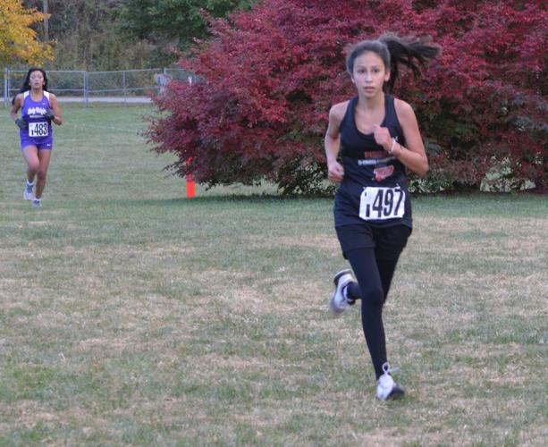 Cross country runners shine at conference meet | Sports ...