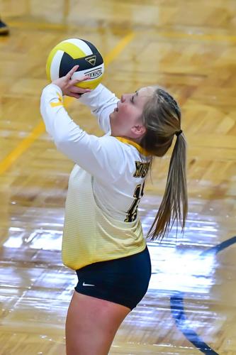 PHOTO GALLERY: Tuscola volleyball vs. Franklin | Sports ...