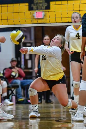 PHOTO GALLERY: Tuscola volleyball vs. Franklin | Sports ...