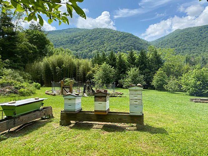 Learn what's abuzz in one-day beekeeping school | Outdoors | themountaineer.com