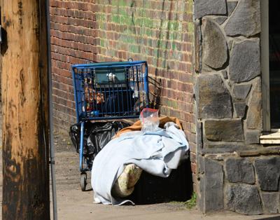 Waynesville task force issues draft plan for homelessness | News ...