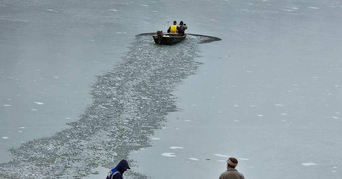 Swan keepers chip through ice at Lake Junaluska to care for the beloved ...