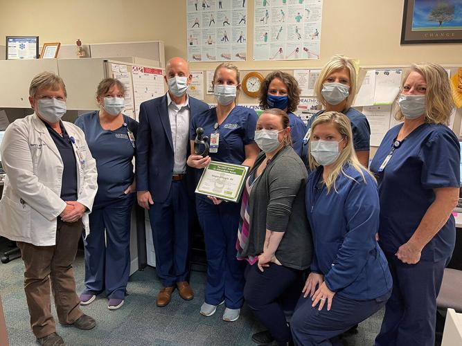 Medical center names Gillespie, Sneed DAISY Award recipients | Briefs ...