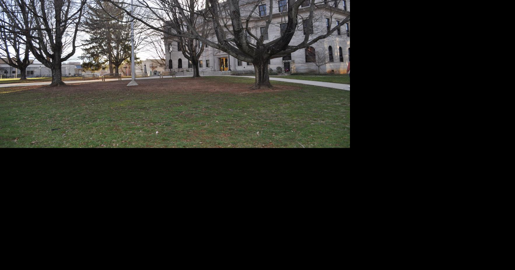 Courthouse trees to be chopped | News | themountaineer.com