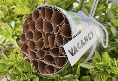 Help save the bees, make a bee hotel | Outdoors | themountaineer.com