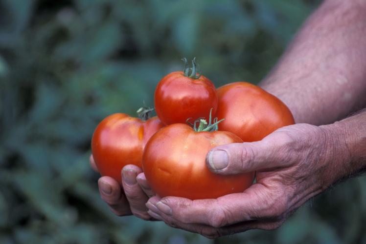 Come one, come all: There’s a fair entry just for you | Life ...