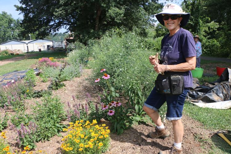 Planting the seeds of community: garden to provide solace, beauty and ...