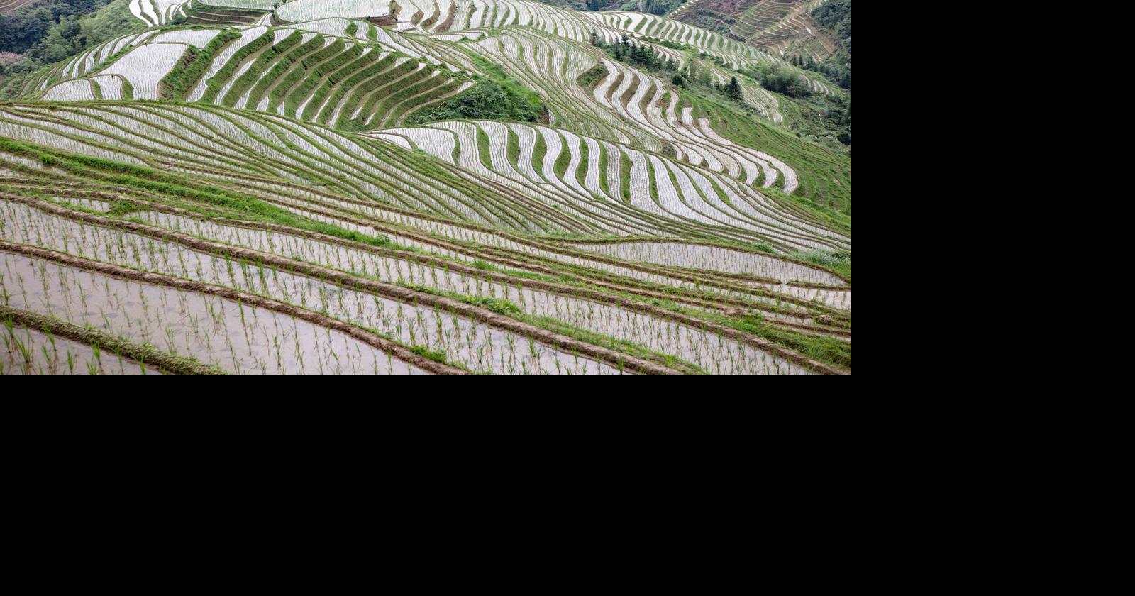 Southern China enthralls Clyde couple | Life | themountaineer.com