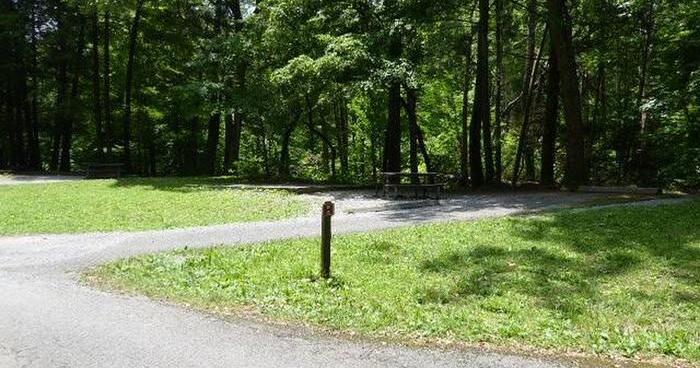 Young girl dies after tree falls on tent in Smokies | Outdoors ...