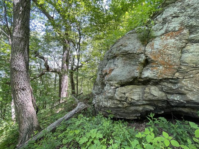 Large tract on flank of Crabtree Bald saved from development by land ...