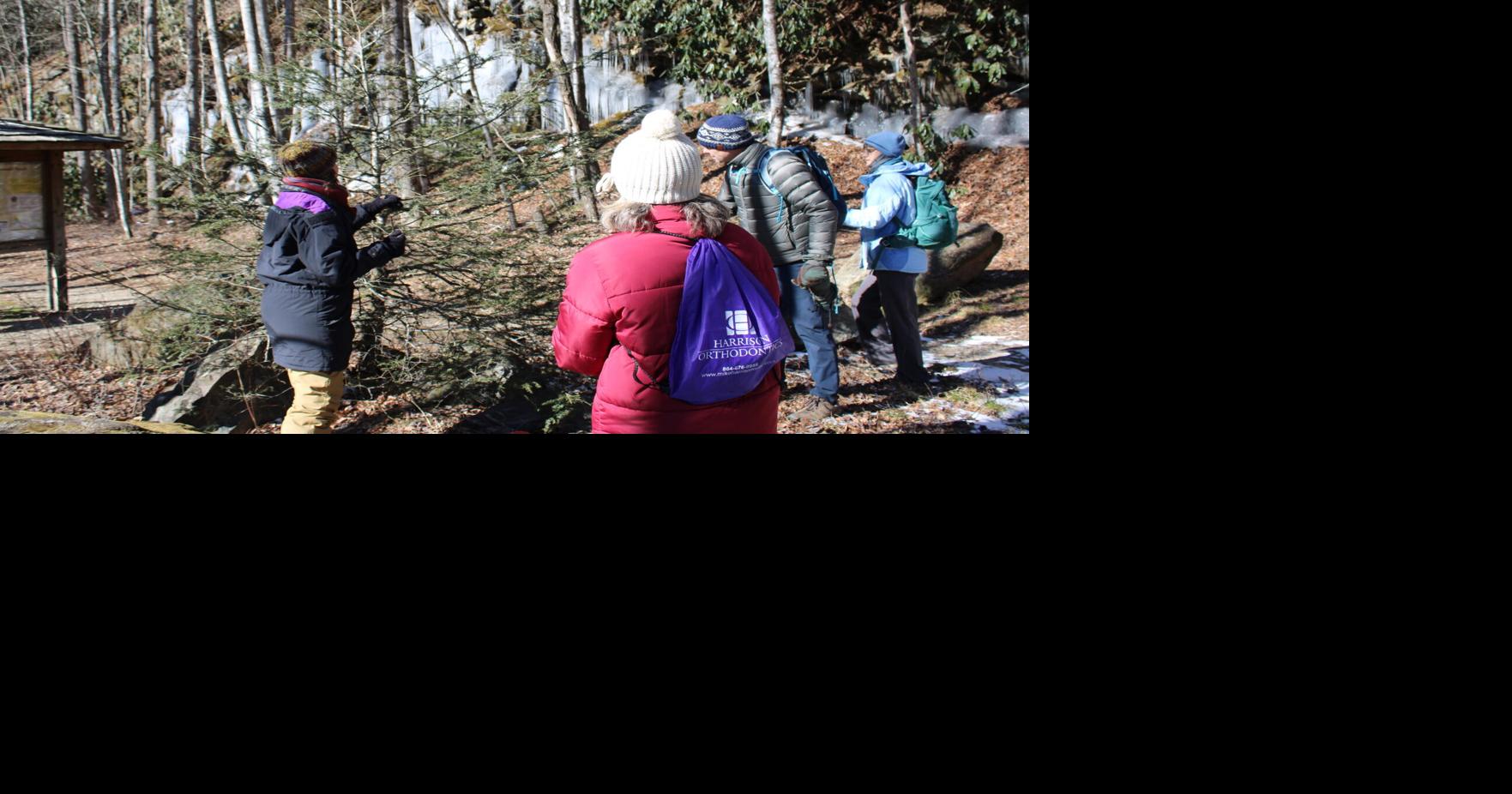 Sleuthing out surviving hemlock stands in Shining Rock Wilderness ...