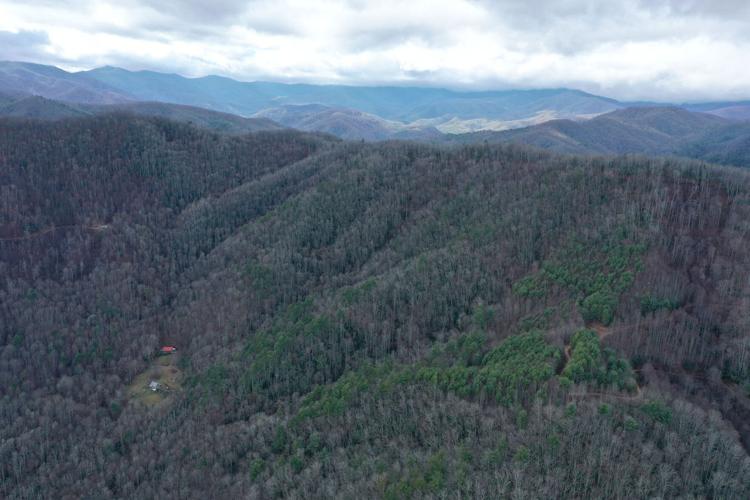 Massive tract abutting Smokies once slated for development is now saved ...