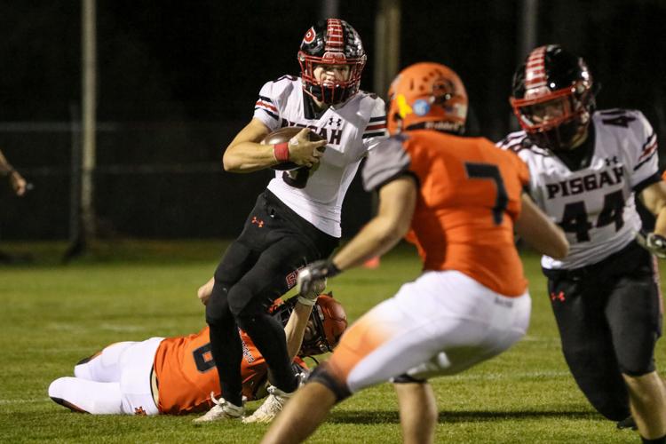 Bears at North Davidson | Multimedia | themountaineer.com