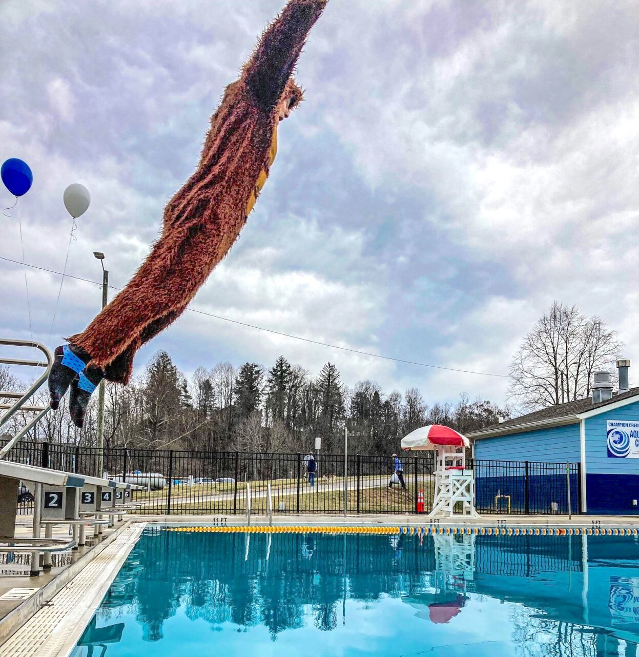 In over their heads: Brave souls to dare icy waters at ‘The Plunge ...