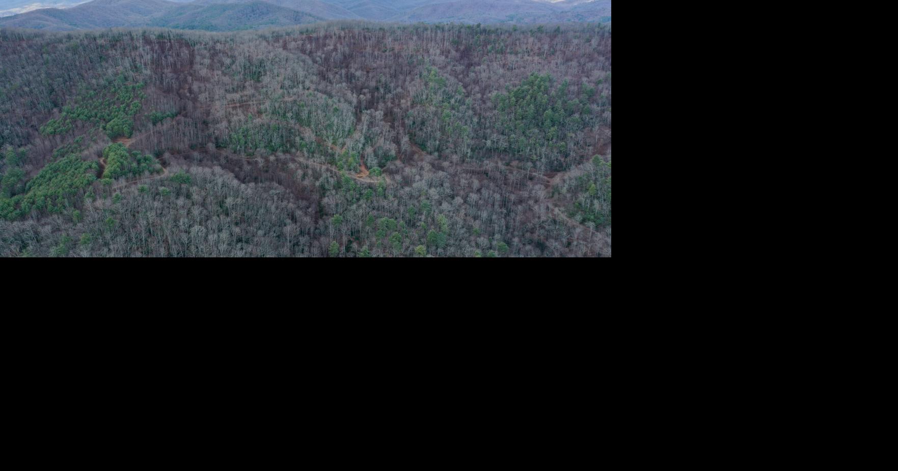 Massive tract abutting Smokies once slated for development is now saved ...
