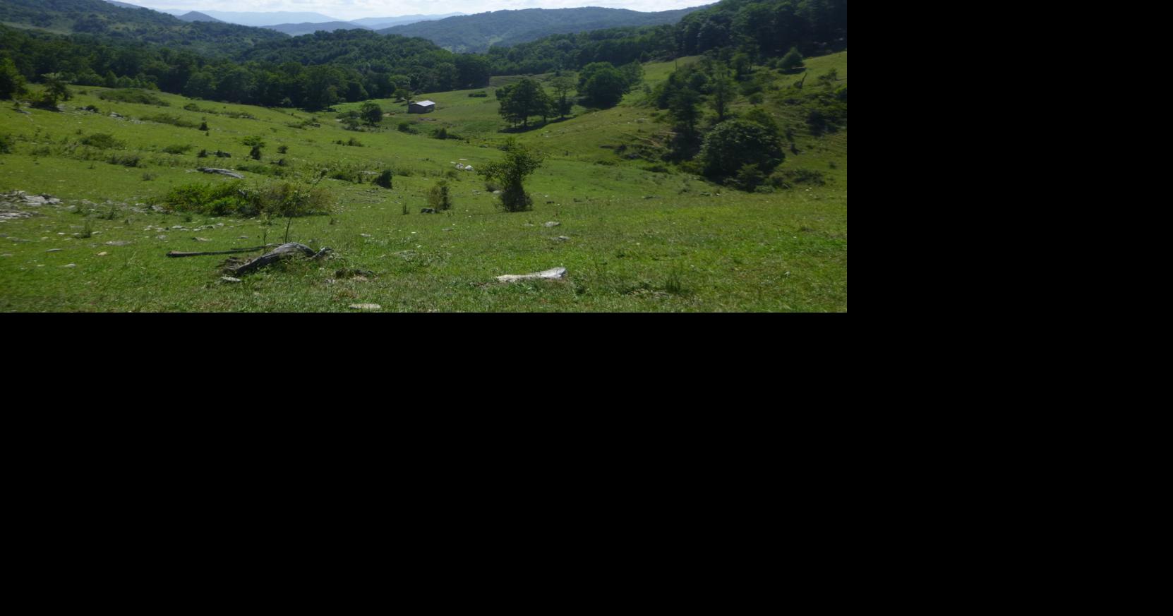 Conservancy protects 50 acres in Haywood | Outdoors | themountaineer.com