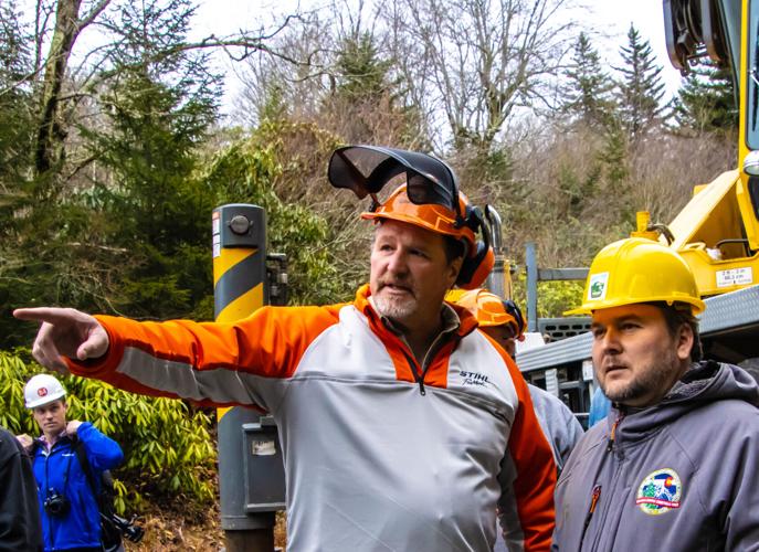 So long, Ruby! How a tree from Haywood County tree was chosen for the U ...