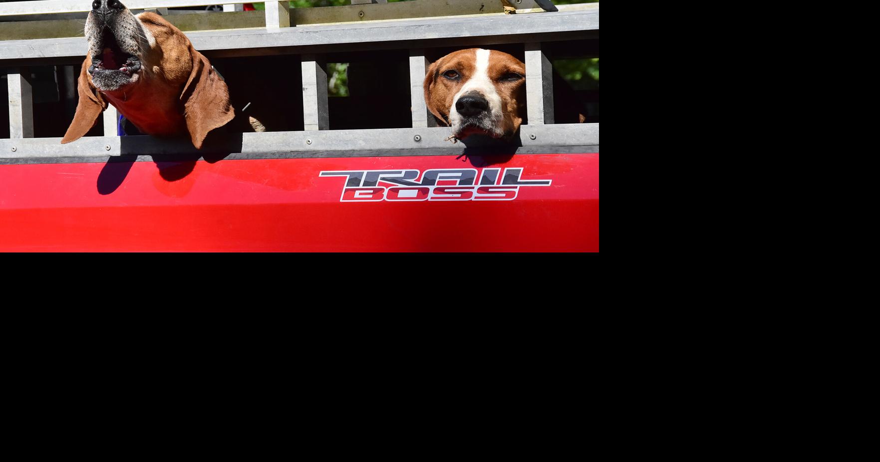 Plott-Tober Fest draws national competitors for Plott hound trials ...