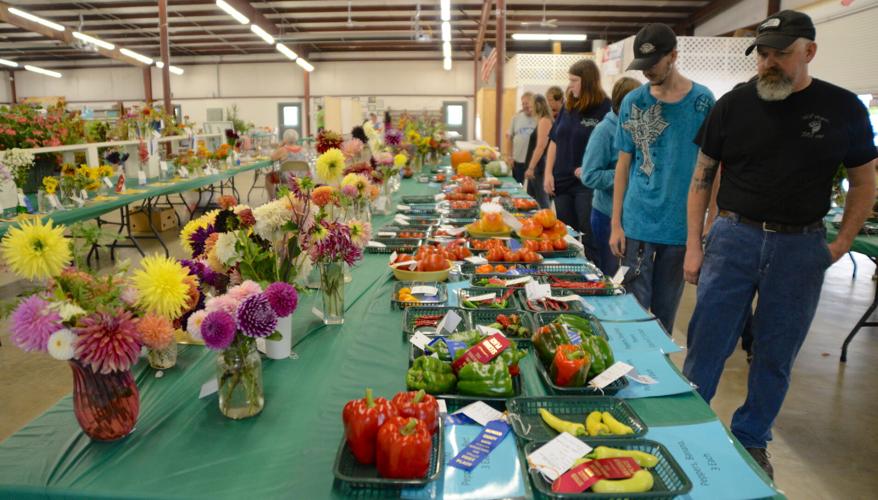 Everything you need to know about entering the fair | | themountaineer.com