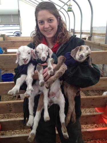 Courtney Wade True to Crabtree roots as ag teacher | Lifestyles ...