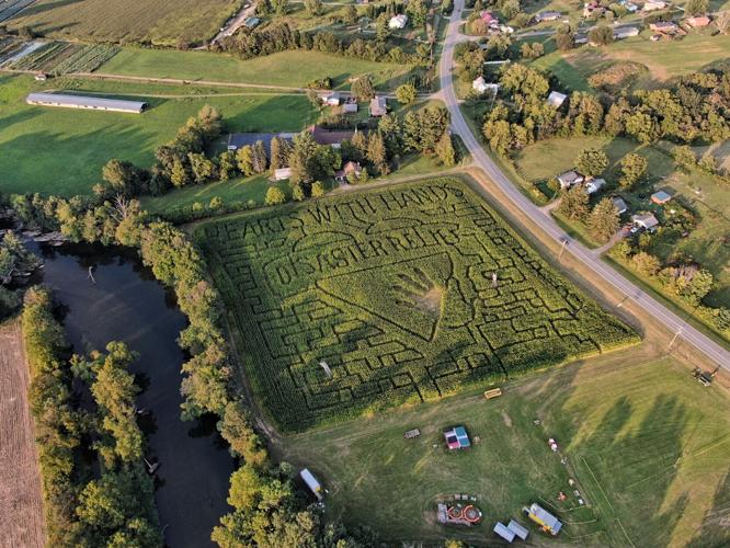 Explore the corn maze this October | Arts Entertainment ...