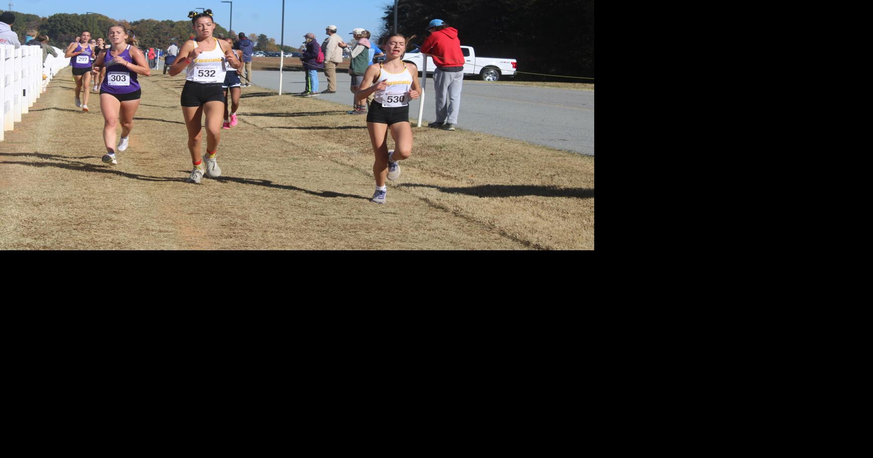 Runners put their best foot forward at cross country state ...