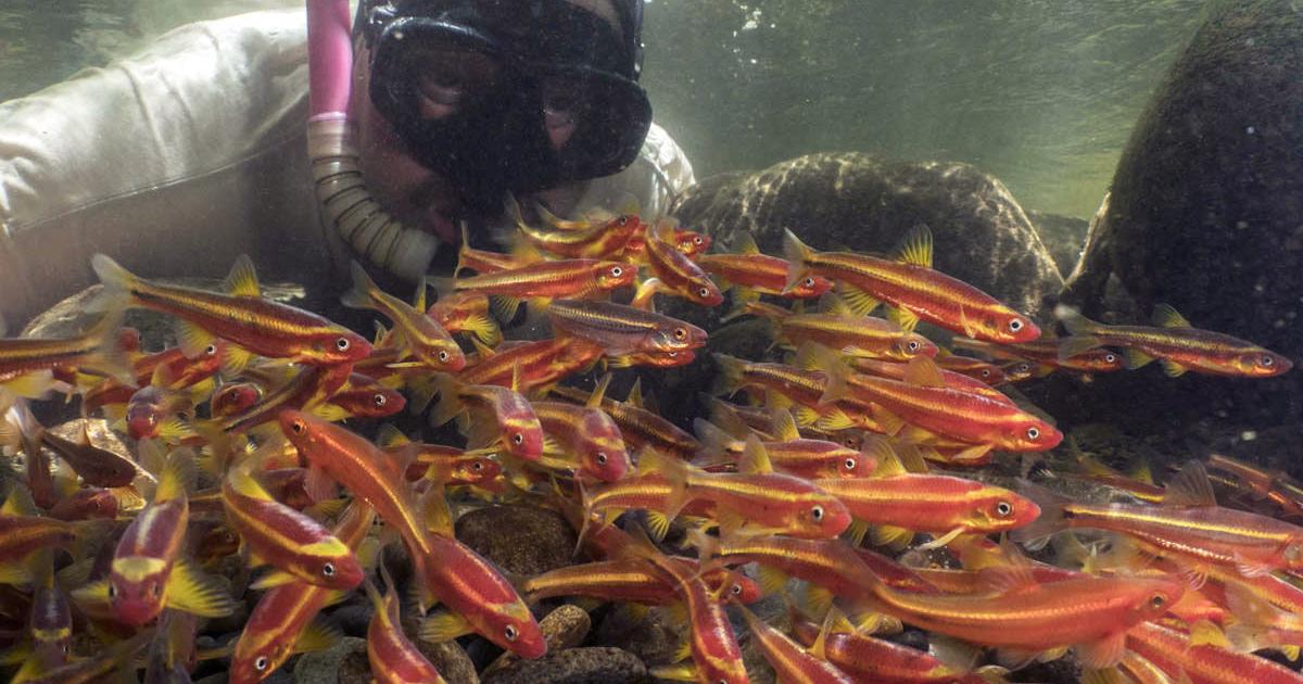 'Hidden Rivers' film premieres in Haywood | Outdoors | themountaineer.com