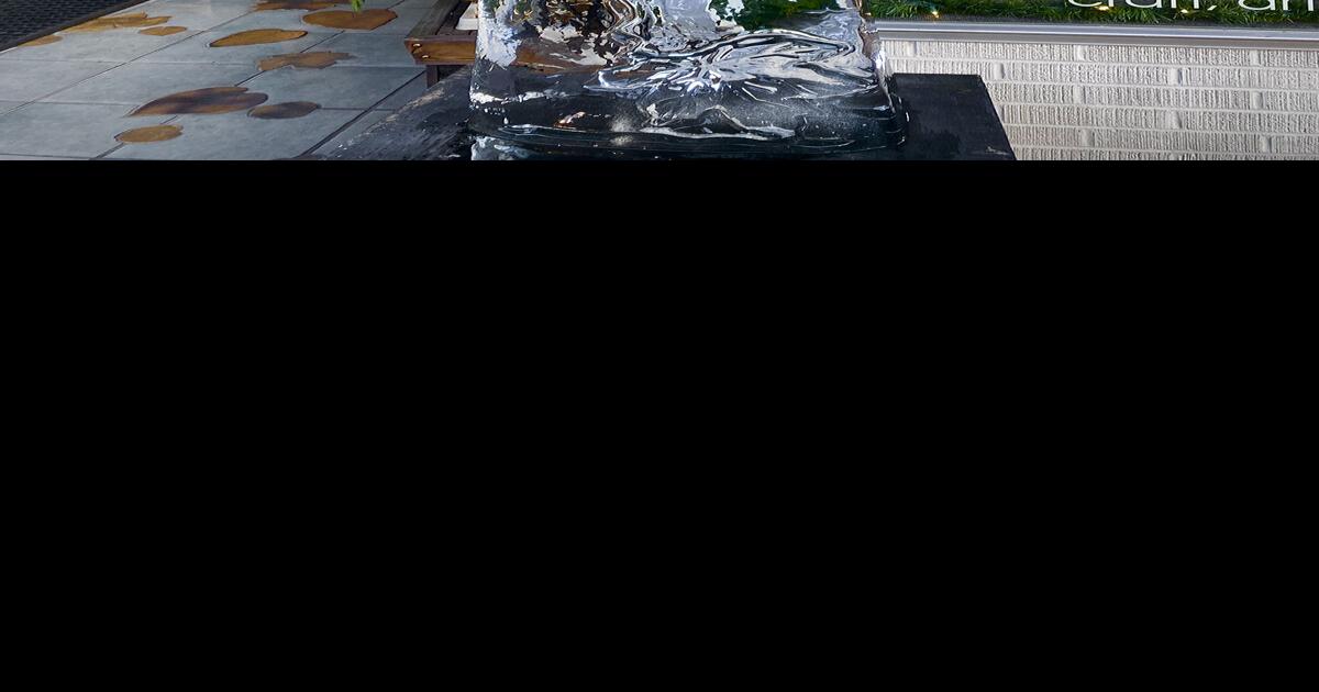 Twigs & Leaves Ice Stroll 1-24 CV.jpeg | | themountaineer.com