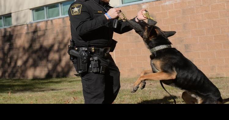 DAR chapter raising funds for police K9 tactical vest | Life ...