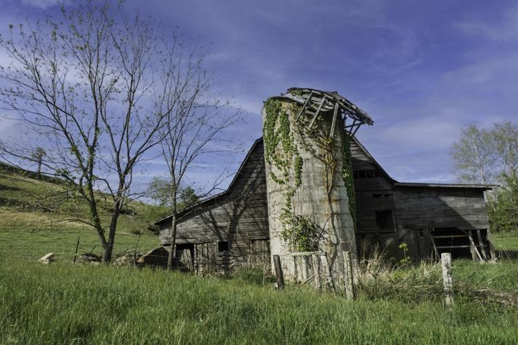 Forever a farm: Family with lineage dating to first Haywood settlers ...
