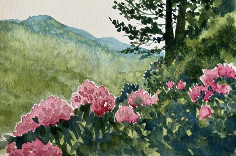 Paint your rhododendron scene in watercolor | Arts Entertainment ...