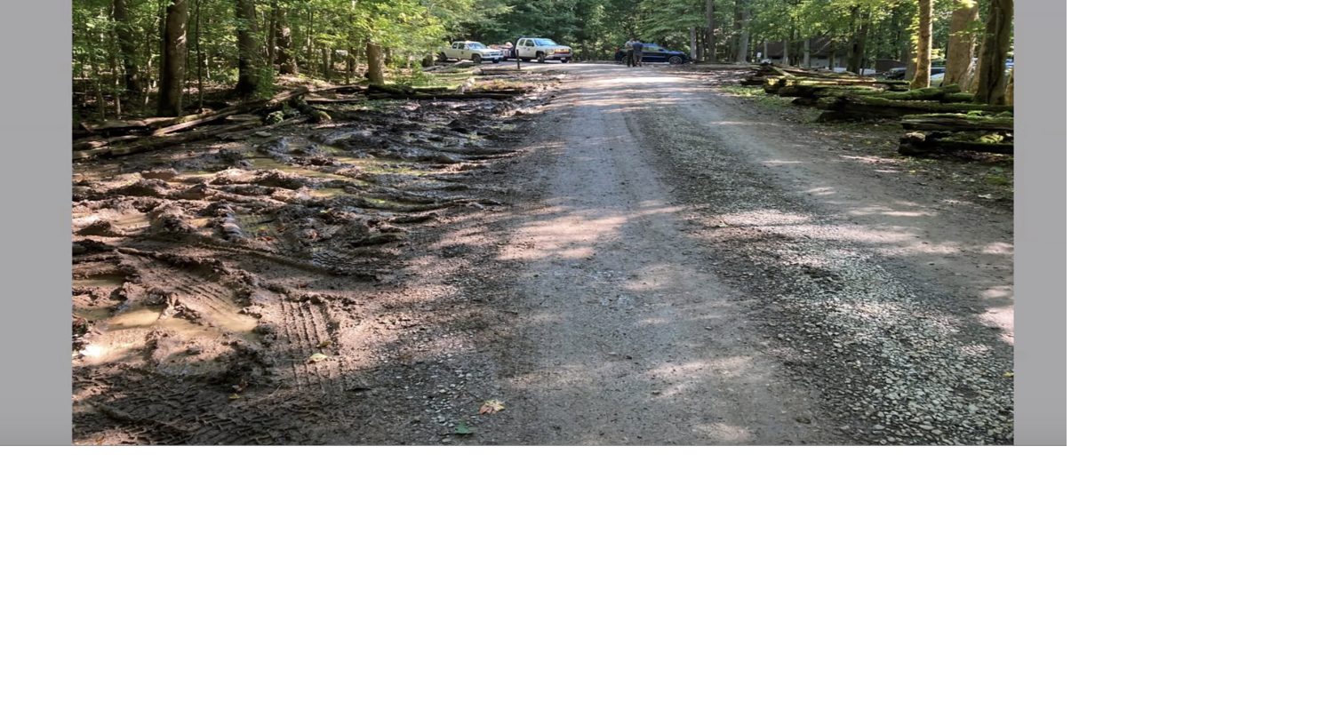 Smokies to rein in roadside parking as crowd-control measure | Outdoors ...