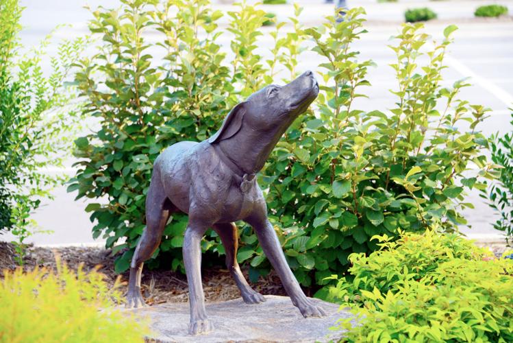 Official state dog is the Plott Hound, but what would the "alternative ...