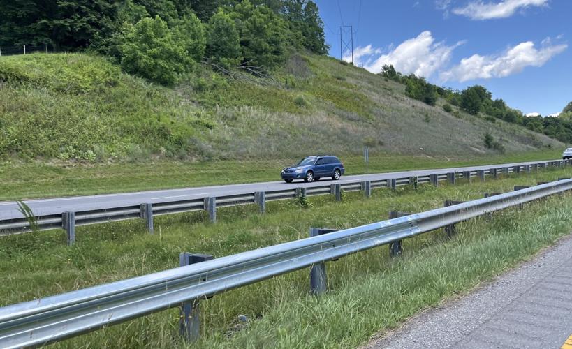 Fallen tree branch halts bypass traffic Friday morning | News ...