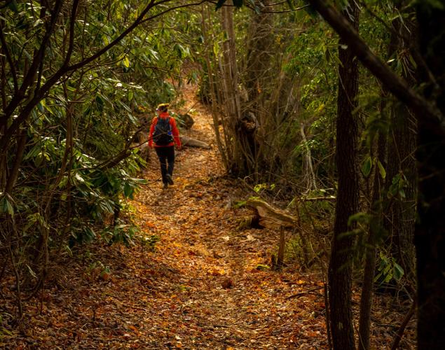 Hunters speak up: debate over game lands continues | News ...