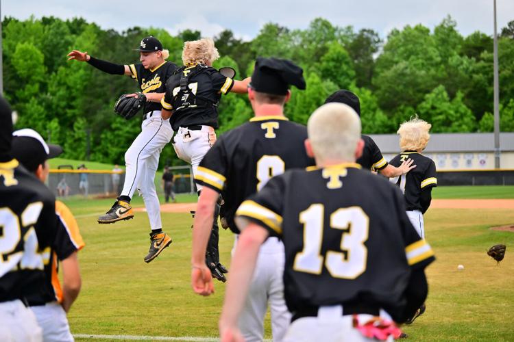 Road to state: Tuscola baseball's run to final four | Sports ...