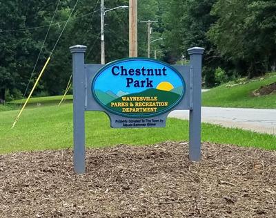 Help build a stronger neighborhood at Chestnut Park work day | Life ...