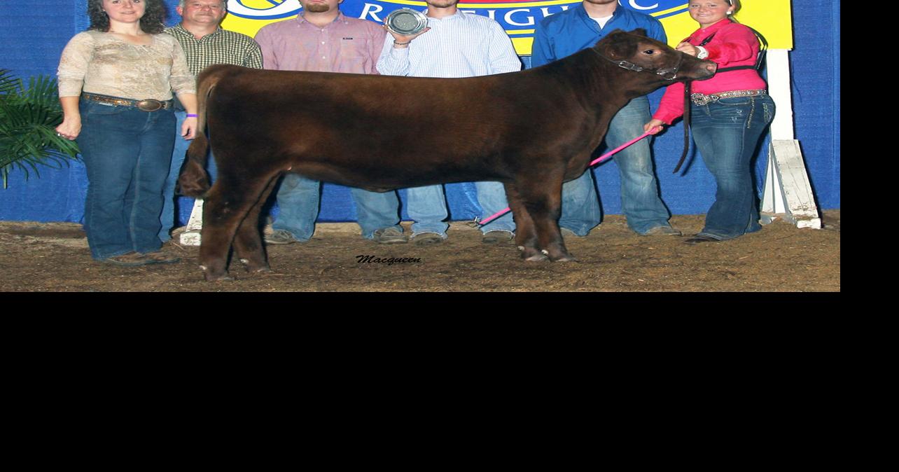 Muse shows reserve grand champion heifer | Achievements ...